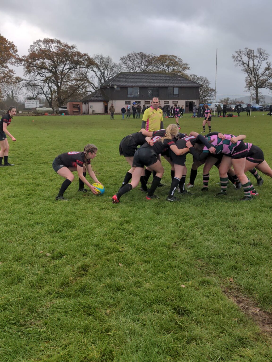U14 Sharkettes | Greenlaw Match Report | Stewartry Rugby Club