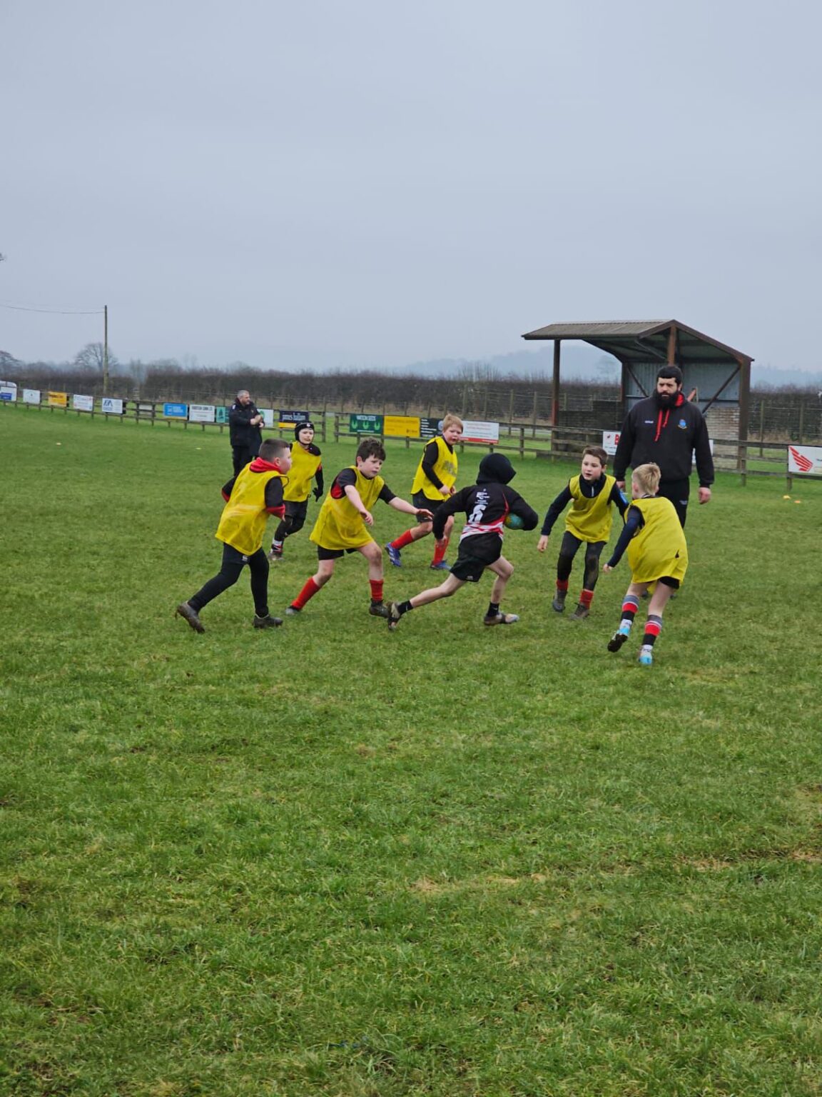 Primary Festival @ Greenlaw! 19/01/2025 | Stewartry Rugby Club